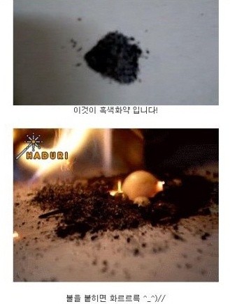 '남녀 성기' 이어 '화약제조법'까지 공개 | Save Internet 뉴데일리